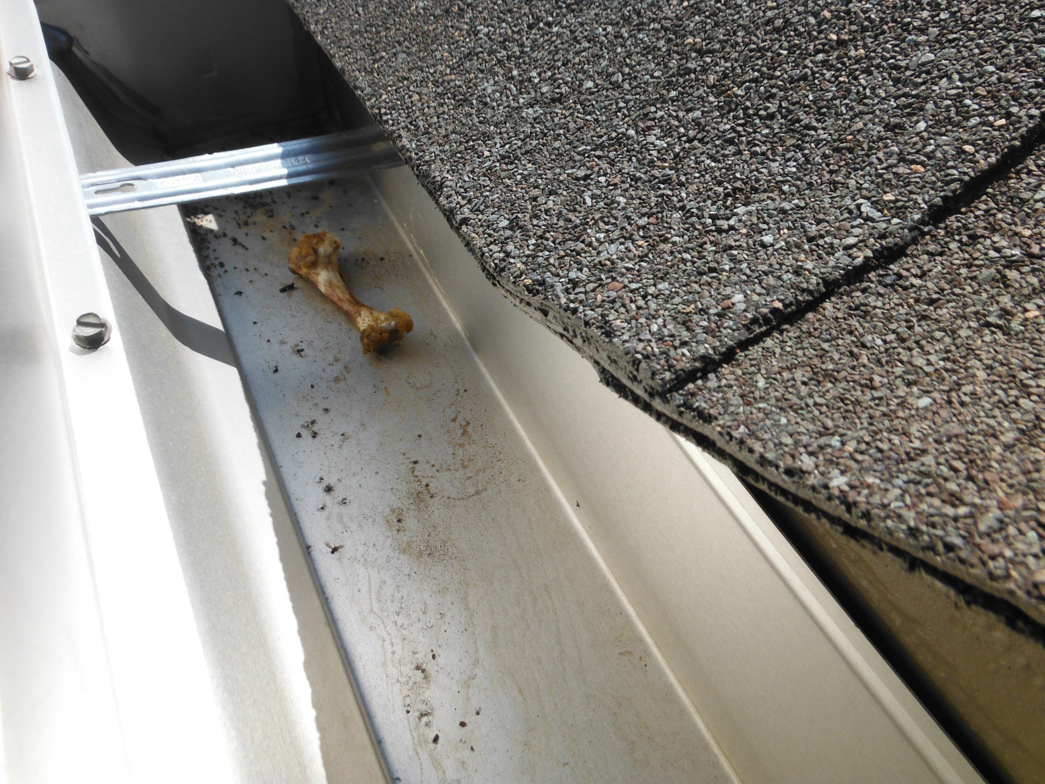 This Fall, Keep Your Life Out of The Gutter