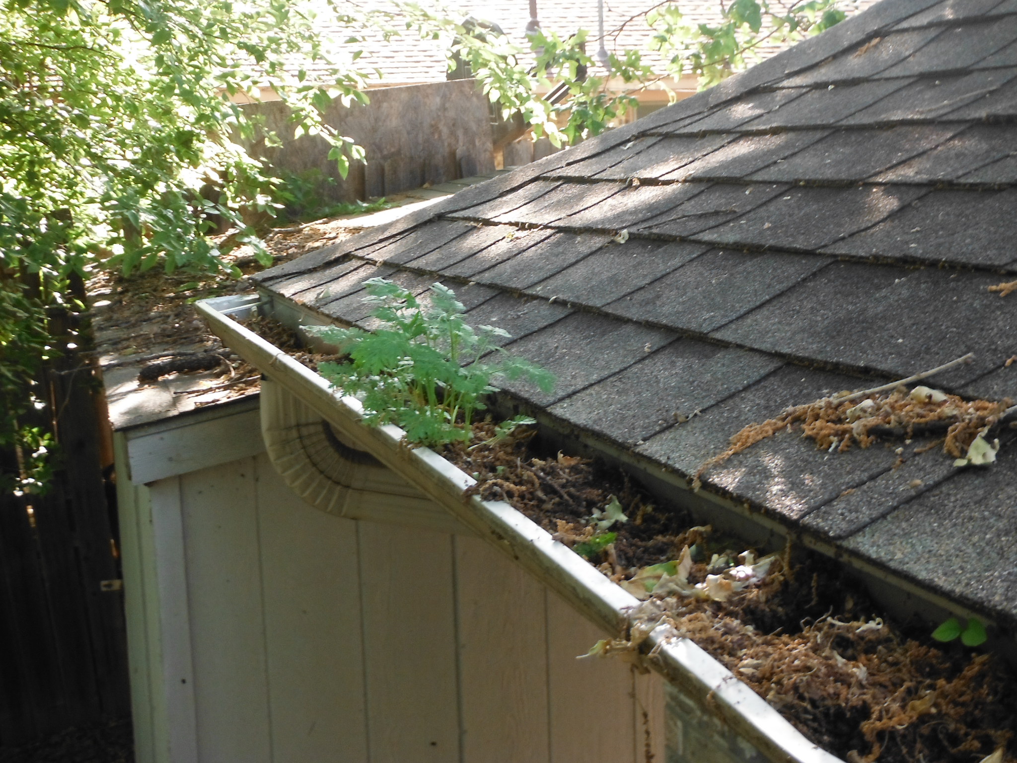 This Fall, Keep Your Life Out of The Gutter