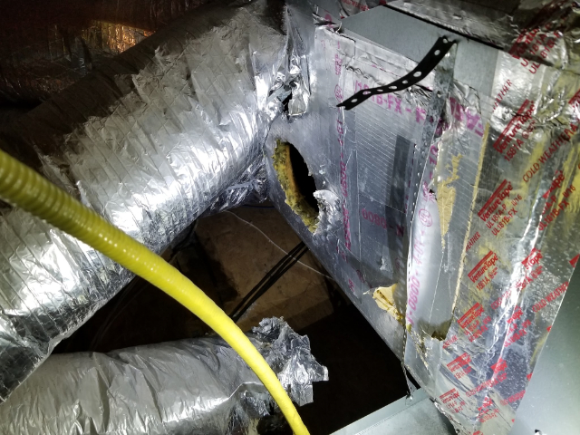When They're Not on The DL, These HVAC MVPs Keep You Cool When it Gets ...