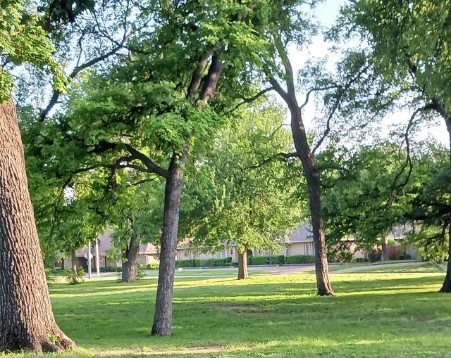 Tanglewood in Fort Worth Is a Throwback to Calmer Times - CandysDirt.com