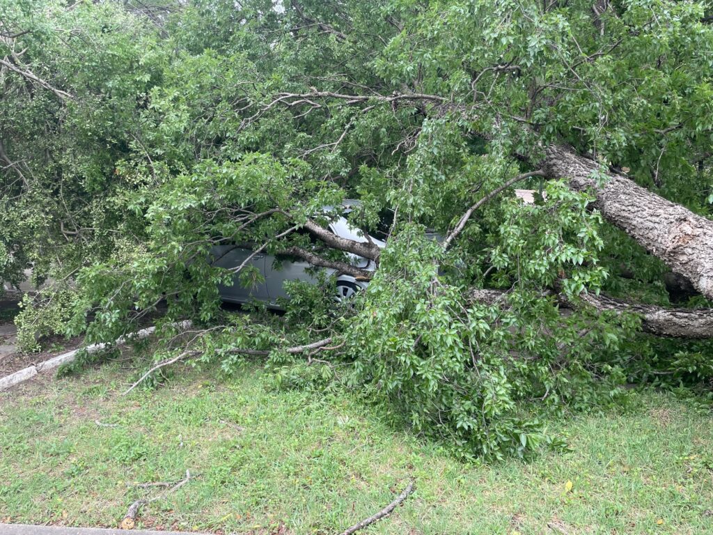 Oh Hail No: Sunday Night Storm Takes Down Trees, Power Lines in North ...