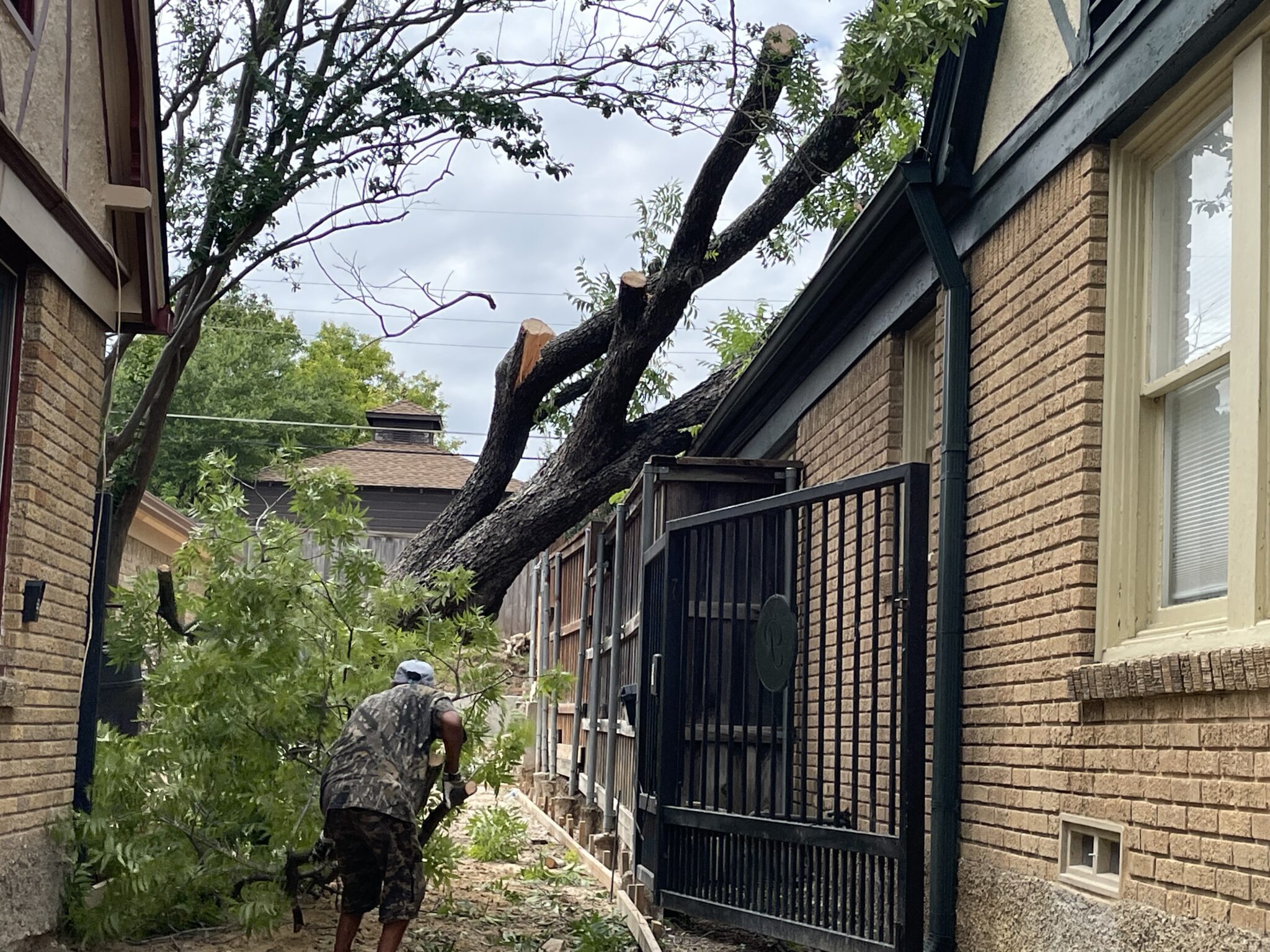 Oh Hail No: Sunday Night Storm Takes Down Trees, Power Lines in North ...