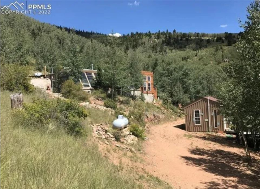Boston Bear Would be Better Off in Colorado - CandysDirt.com