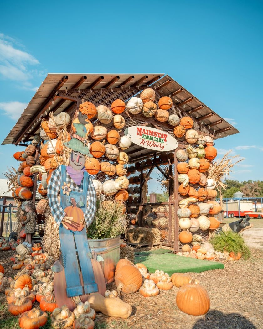 Mainstay Farm Fall Festival Kicks Off The Season at The Biggest ...