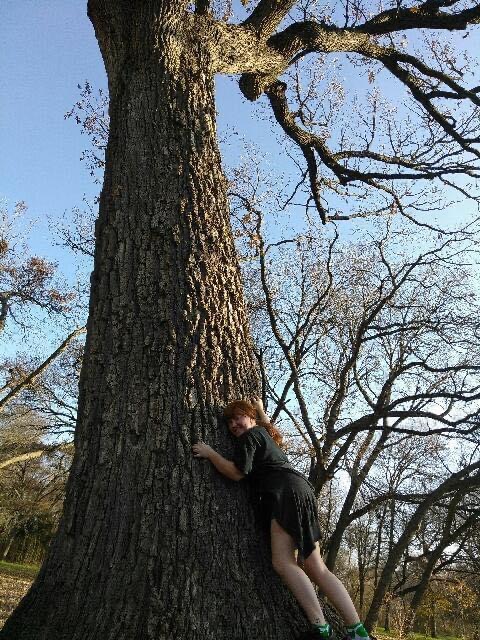Laura Ostteen Fights For Old East Dallas Trees, But There’s No ...