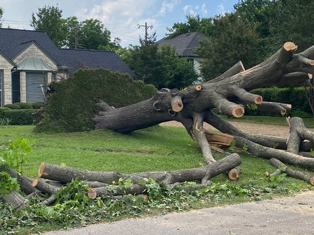 Dallas Storm Damage: Crews Working Around The Clock to Restore Power ...
