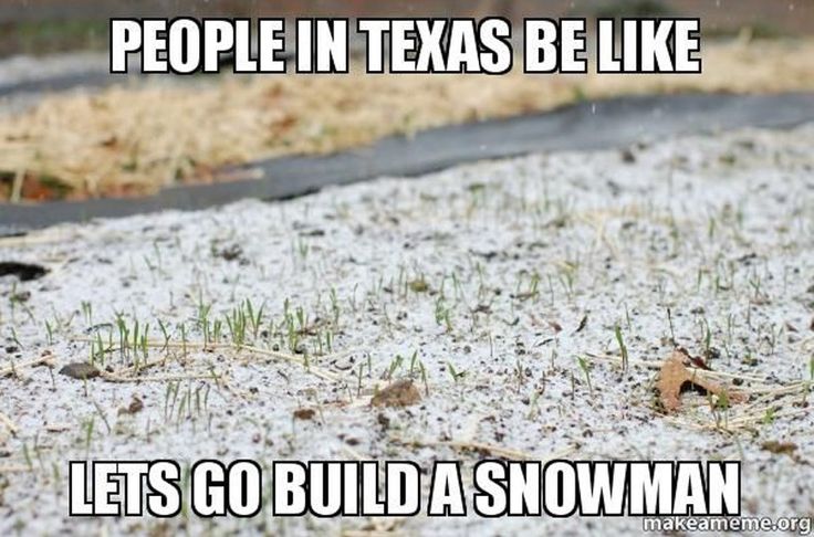 The Best Weather-Related Tweets We've Seen: Snowmageddon 2025 Edition ...