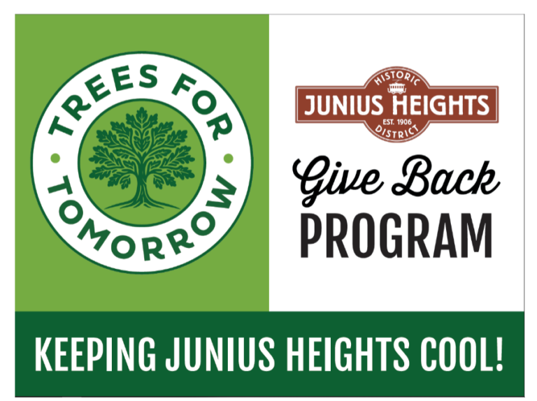 Junius Heights Historic District Plants Trees to Prepare for a Cooler ...