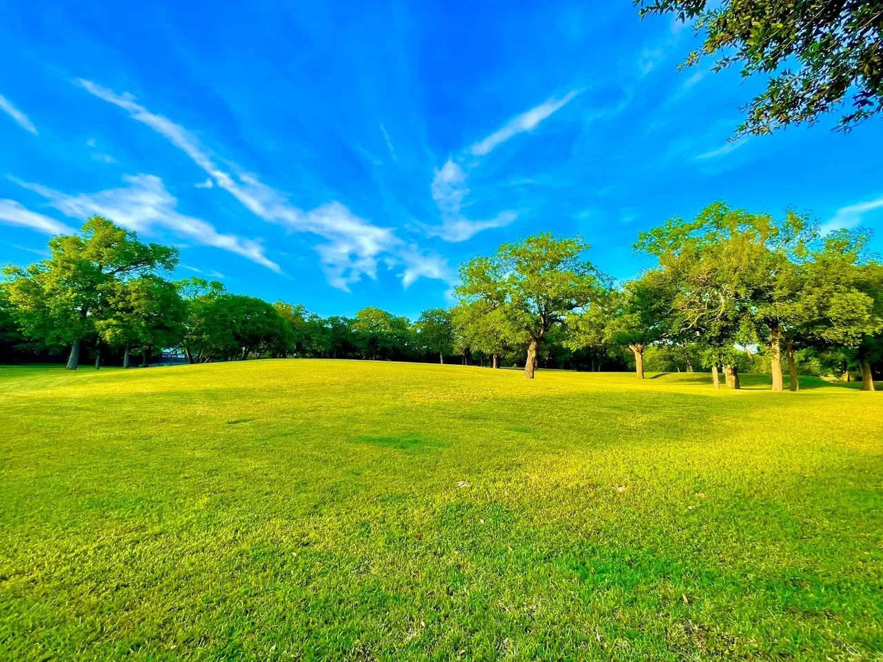 Camelot in Colleyville: A 14-Acre Future Kingdom Awaits - CandysDirt.com