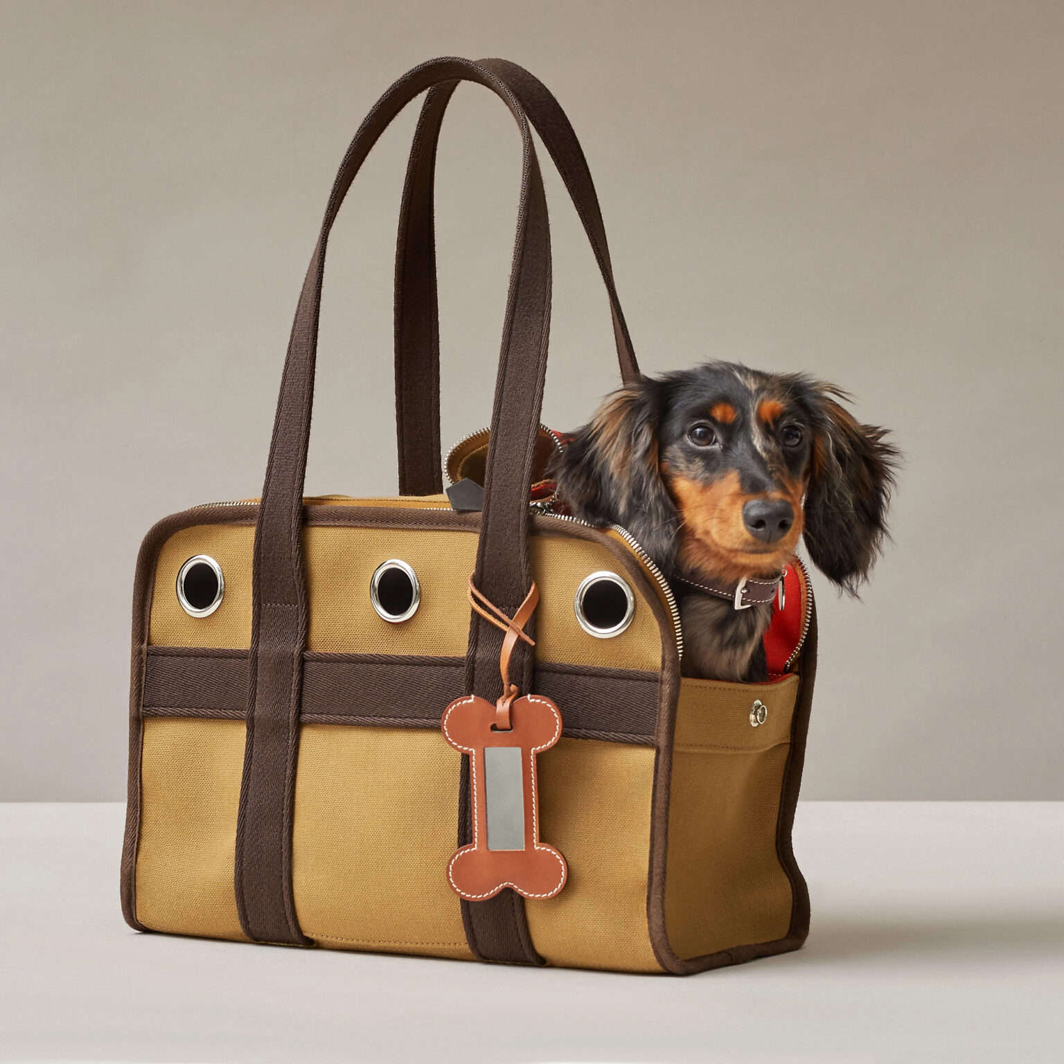 Barkitecture to Baccarat: Luxury Dog Gifts That Take Pampering to a ...
