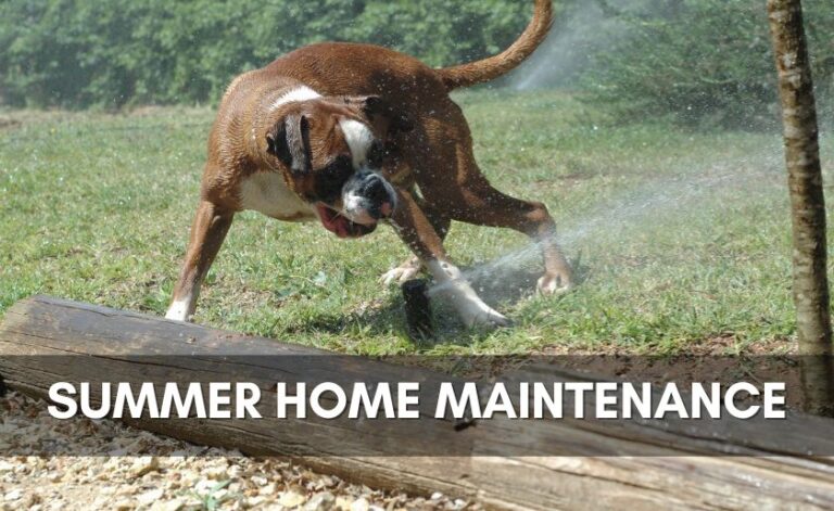 Kick Off Summer Right With These Home Maintenance Tips